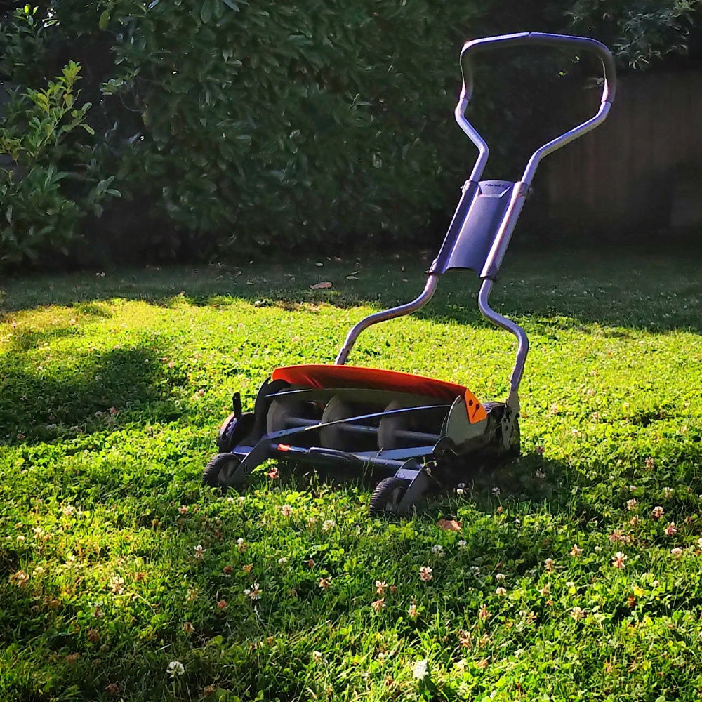 Lawn Seeds vs Instant Turf - Which One Is Better – Wallingtons WRG