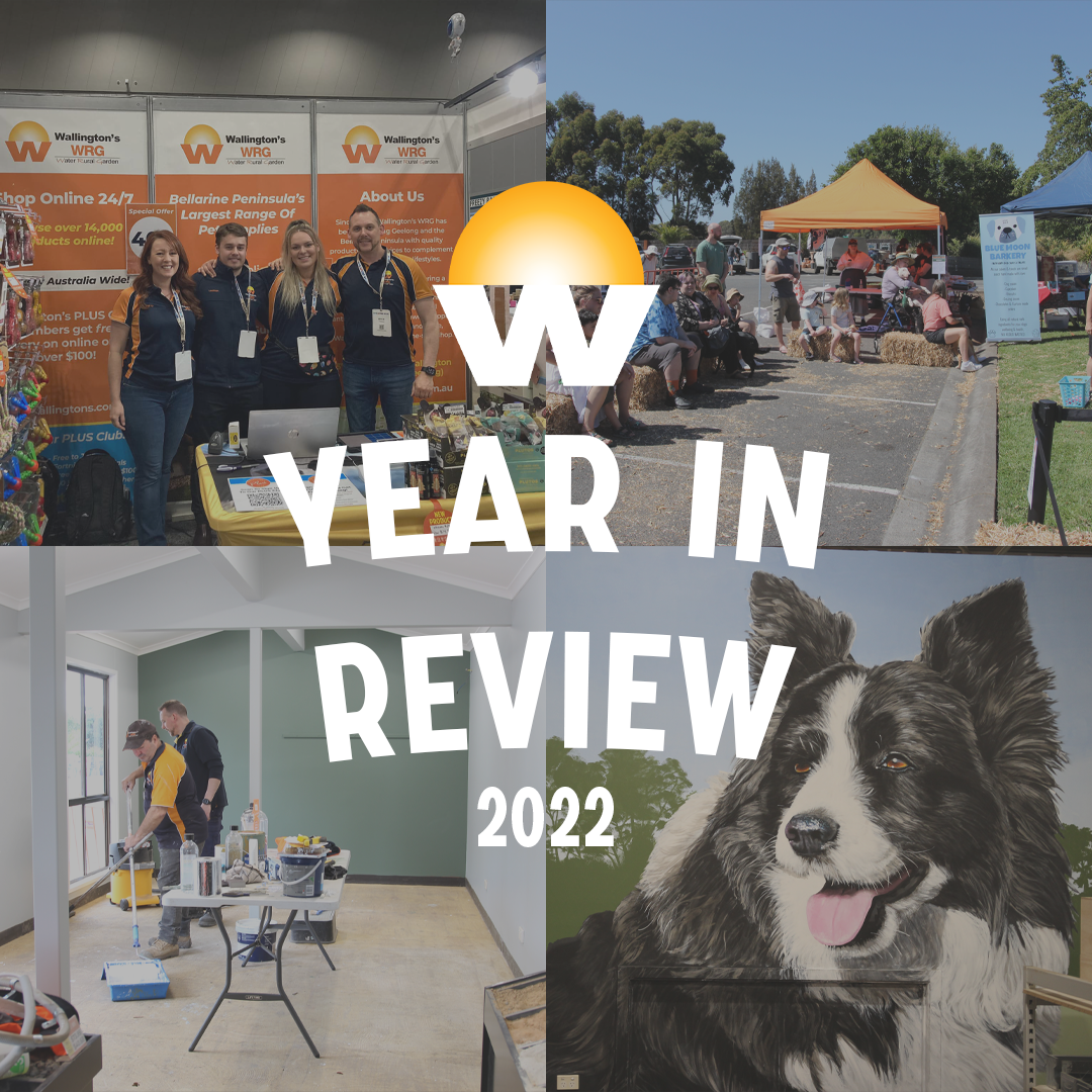 Wallington's WRG 2022 In Review – Wallingtons WRG